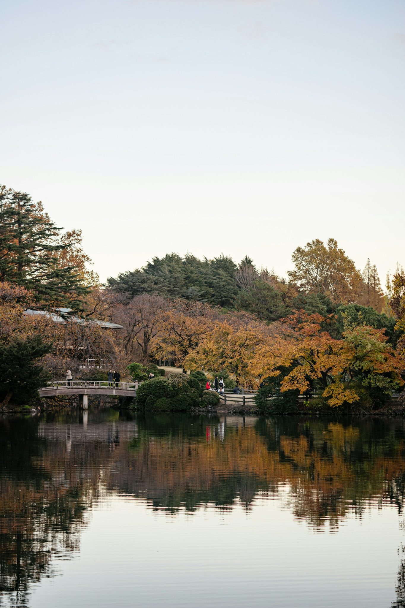 Shinjuku Gyoen: En rolig oase midt i Tokyo! - JapanGuiden.no